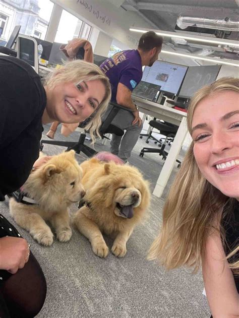 We Have Some Exciting Visitors In Our London Office Today 🐶 Its Great To Connect With