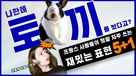재밌는 프랑스어 원어민들이 매일 같이 쓰는 표현 그냥 들어서는 추측 불가능 불어 프랑스어회화 프랑스어배우기