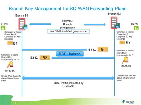 Versa Virtual Edge Platform Sd Wan And Ucpe Solutions Architecture Guide Dell Technologies