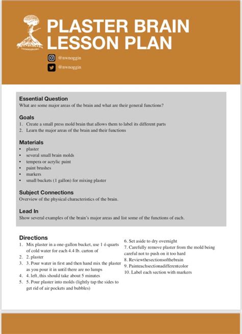 Plaster Brain Models Nw Noggin Neuroscience Outreach Group Growing