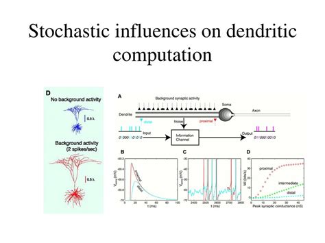 Ppt Computational Neural Modeling And Neuroengineering Powerpoint