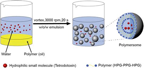 Emulsion Induced Polymersomes Taming Tetrodotoxin For Prolonged