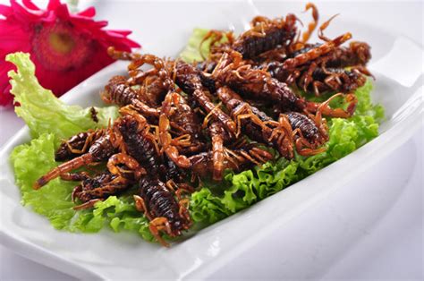 香酥炸蝎子图片素材 香酥炸蝎子设计素材 香酥炸蝎子摄影作品 香酥炸蝎子源文件下载 香酥炸蝎子图片素材下载 香酥炸蝎子背景素材 香酥炸蝎子模板