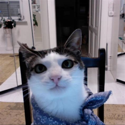 Create A Glorb Worldwide Tier List Tiermaker