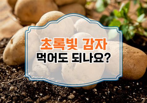 초록빛 도는 감자 먹어도 괜찮을까