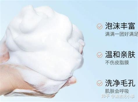 泡沫的形成与破灭 知乎