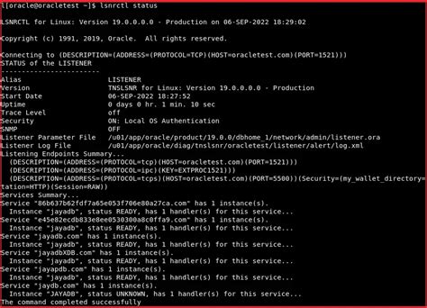 Easy Connect Method To Connecting With Oracle Dot Net Tutorials