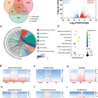 Transcriptomic Analysis A Venn Diagram Of Whole Transcriptome RNAseq Download Scientific