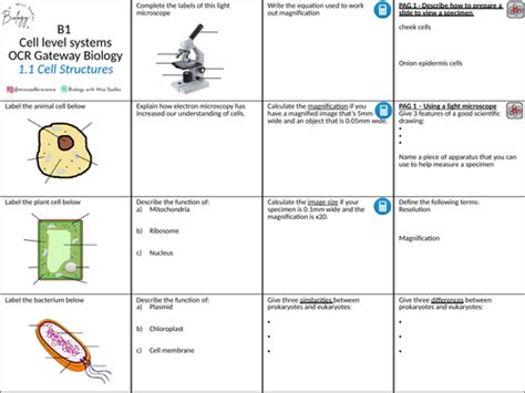 Ocr Gateway Biology Gcse Revision Grid B1 Cell Level Systems Teaching Resources