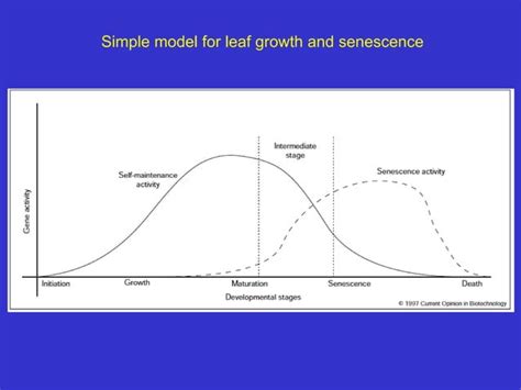 Ageing And Senescence Ppt