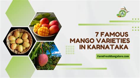 7 Famous Mango Varieties In Karnataka Farm Fresh Bangalore