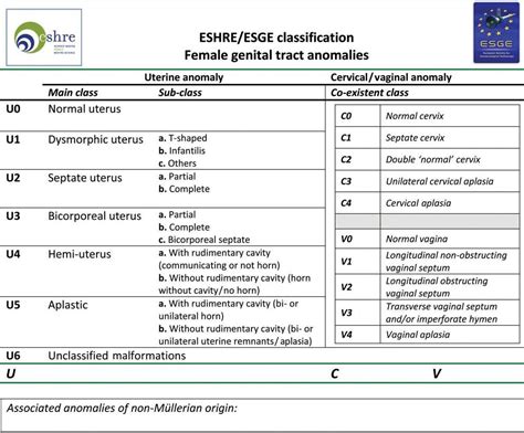 Classification De Eshre Esge Terminologie Des Malformations Utérines Docteur Benchimol