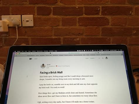 Facing A Brick Wall Eyes Kinda Open Feeling Groggy And… By Jarratt