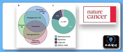 跟着 Nat Cancer 学作图 韦恩图 空心饼图 知乎