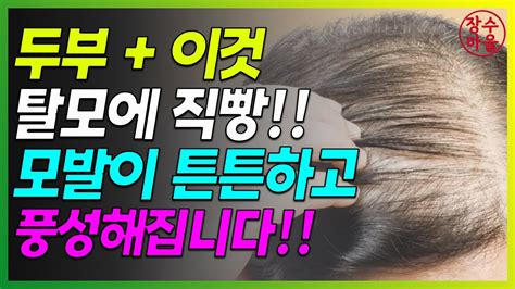 두부와 이것을 같이 먹으면 모발이 두꺼워지고 풍성해집니다 탈모약 대신 이것 드세요 Youtube