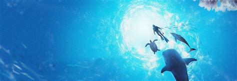 Switch Weekly Issue 381