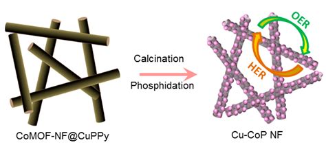 Scms Mof衍生的磷化钴纳米纤维用于电催化氧析出和氢析出反应 研究 催化剂 China