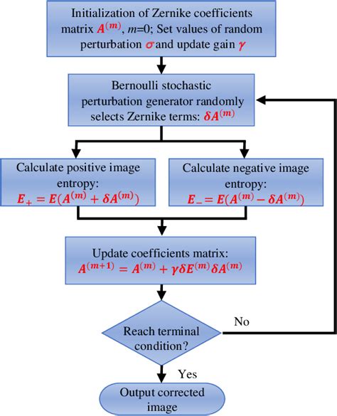 Figure 2 From Automated Fast Computational Adaptive Optics For Optical Coherence Tomography