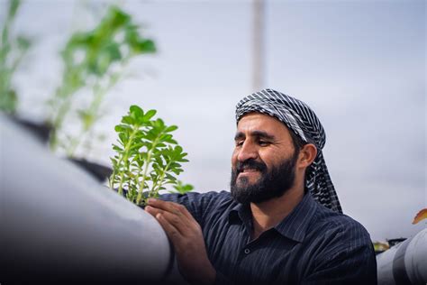 زراعة المستقبل طريق أحمد إلى الزراعة المستدامة في العراق برنامج