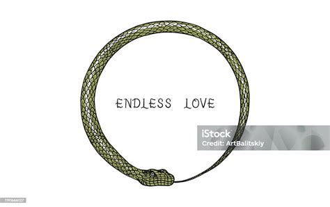 빈티지 스타일의 서클 뱀 뱀 코브라 또는 비단뱀 또는 유독 한 독사 문신에 대한 손으로 그린 오래된 파충류 스케치 스티커 또는 로고 또는 티셔츠용 아나콘다 검은색에 대한