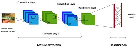 Wheat Leaf Disease Detection A Lightweight Approach With Shallow Cnn Based Feature Refinement