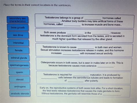 Solved Place The Terms In Their Correct Locations In The Chegg Com