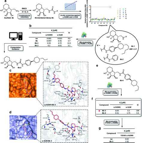 Synthesis And Evaluation Of A Compound Library A Parallel Synthesis Download Scientific