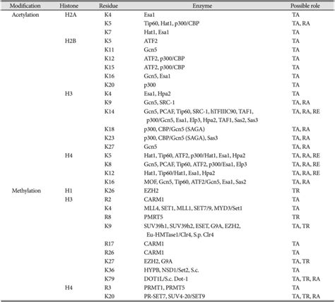 Two Major Histone Modifications Driving Histone Code Hypothesis