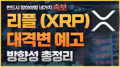 리플 Xrp 미친 상승 시그널 4가지 속보 분석으로 전망 완벽 정리 Youtube
