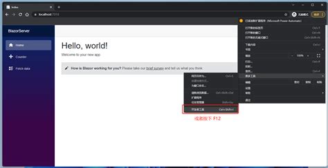 330大家一起学blazor：blazor Server和blazor Webassembly的差异 码坊