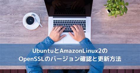UbuntuとAmazonLinux のOpenSSLのバージョン確認と更新方法サラトガ牧場