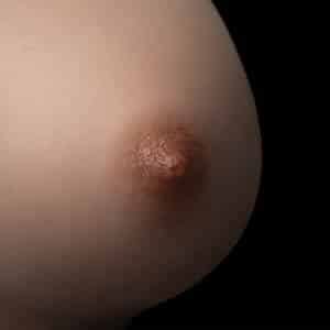 Journey Premium TPE Sex Doll Silicone Head Pi Doll