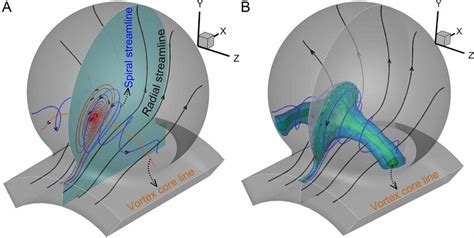 3d Alveolar Flow Pattern In The 21st Generation A 3d Streamlines