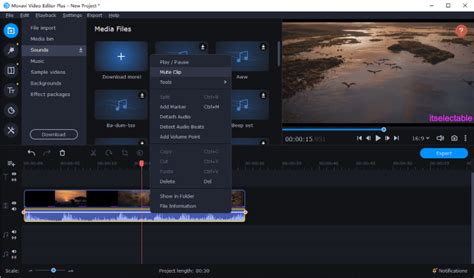 4 Ways Remove Sound From Video On Windows 10 And Mac Online Free Itselectable
