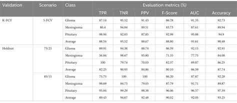 Frontiers Braincdnet A Concatenated Deep Neural Network For The Detection Of Brain Tumors