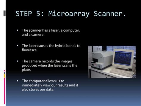 Ppt Dna Microarray Powerpoint Presentation Free Download Id 662011