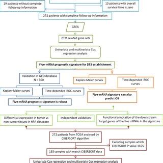 Overview Of The Analytic Pipeline Of This Study Download Scientific Diagram