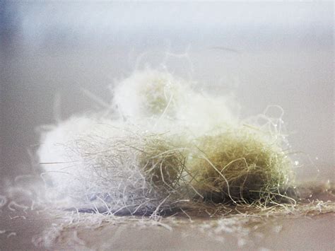 محصولات سلولزی پاپیا؛ تجزیه پذیر دستمال کاغذی پلاستیکی کاغذی Soft آراد برندینگ