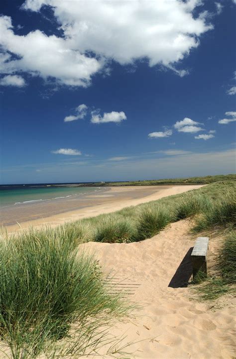Gallery Aberdeenshire E Bike Hire
