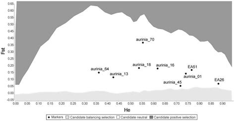 This Workbench Uses An Fst Outlier Method To Detect Potential Loci