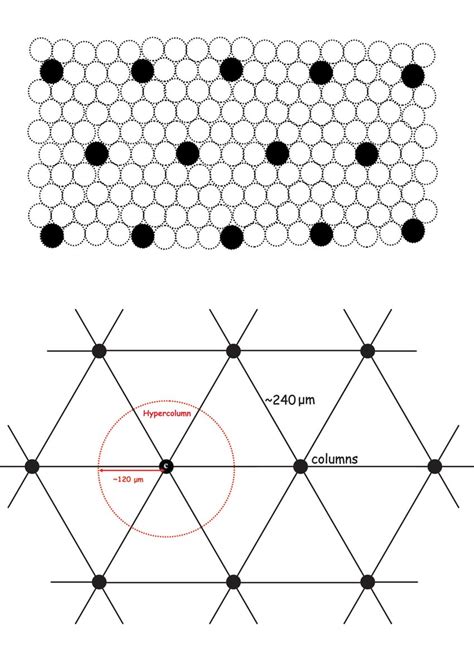 a schematic lattice model of the repeated regular mapping of the