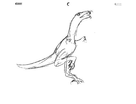 Emus Are The True Decedents Of Raptors Right  On Imgur