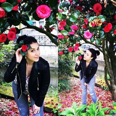 Розы Розы на дереве Алые розы Французские розы Яркие цветы Красные цветы