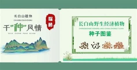 探秘长白山植物千种风情 髭脉槭 腾讯新闻