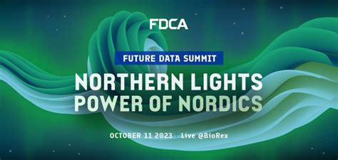 sini merikallio on linkedin future data summit 2023