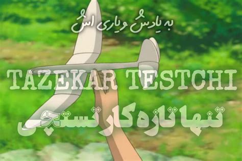 آرزوی بال ها ، برادران رایت تستچی