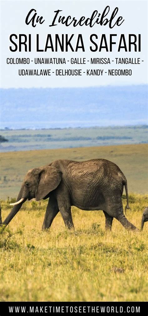 Trails Asia Sri Lanka Safari An Ethical Small Group Adventure Tour For Active Travelers