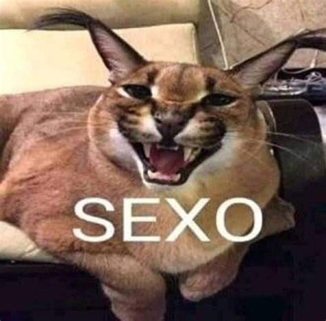 I Got The Sex Seed Rbindingofisaac