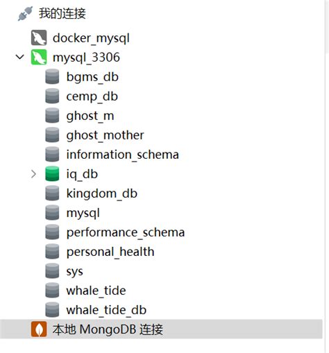 Mongodb 入门指南：安装、配置与 Navicat 连接教程navicat连接mongodb Csdn博客