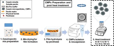 Process Steps Required To Produce CMPs At T 20 C And Under Neutral Download Scientific